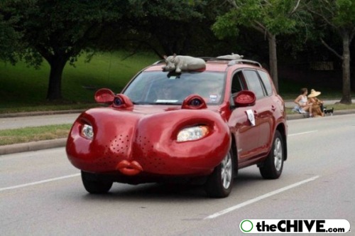 free funny photoS: funny cars