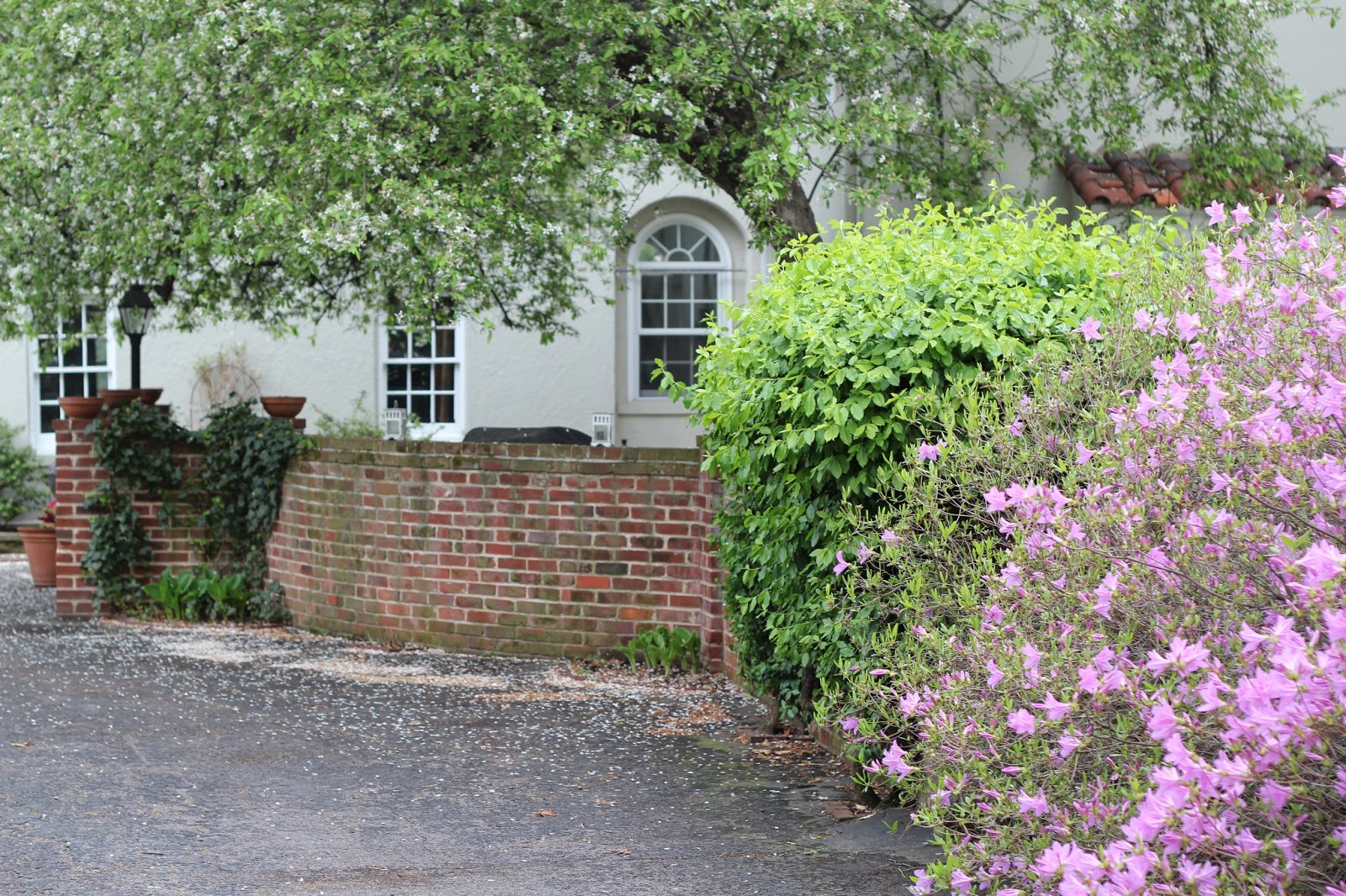 Musings: St. Louis Spring Garden Walk