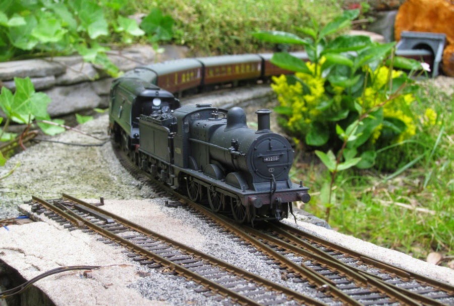 Fungus in Model-Land