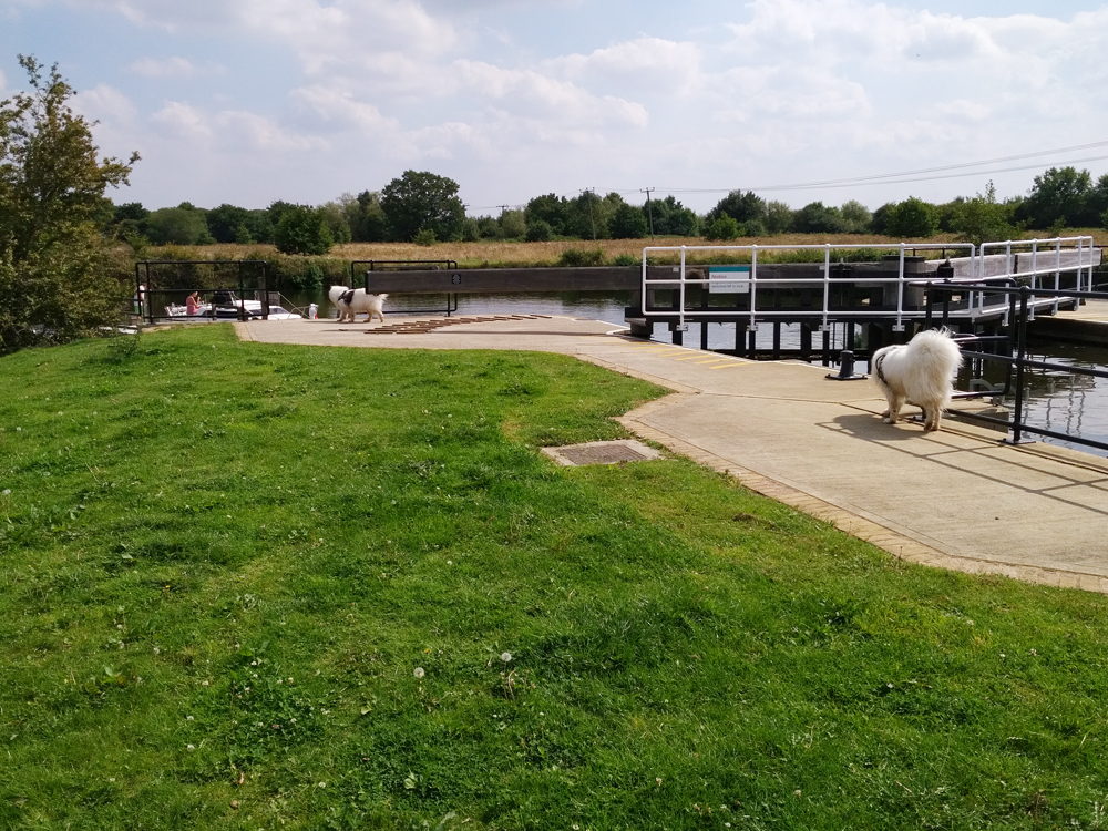 Follow the Soft Shadows: 26 & 27th August, 13k Seven Sisters Hike and ...