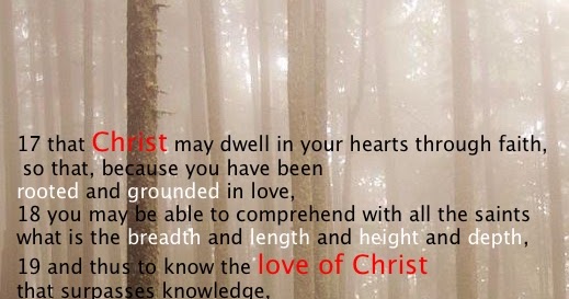 beanscot: To Be Rooted and Grounded...