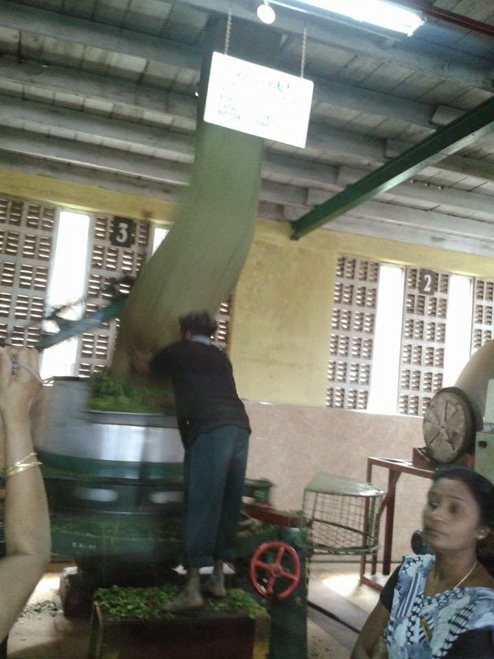 Jayanthi's Indian Recipes: Black tea/Kattan Chaya with spices