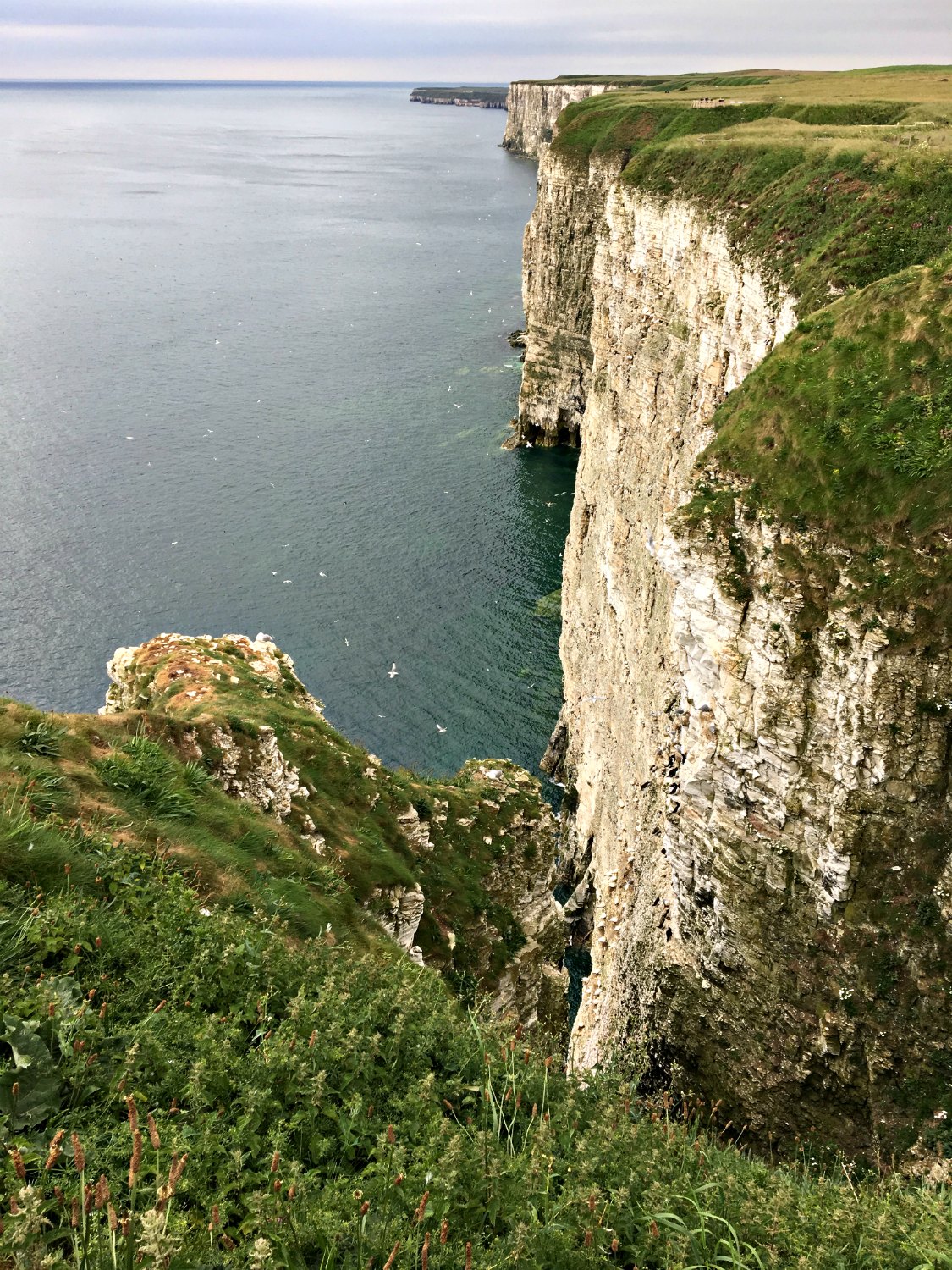 Yorkshire Wolds' Wonders