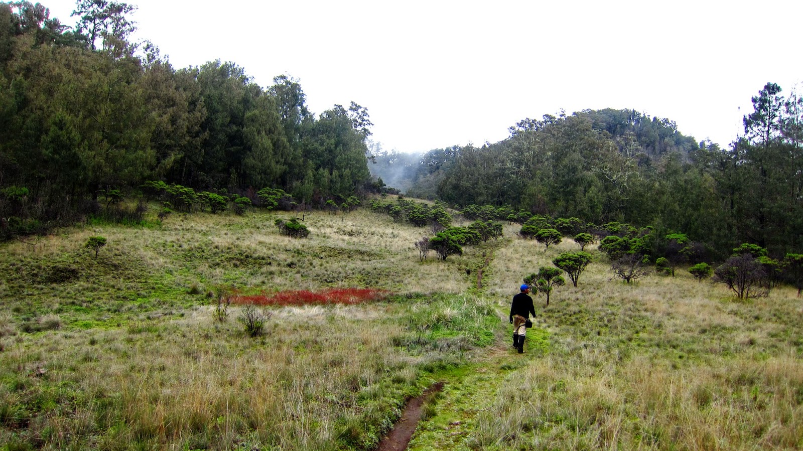 pRopaNe_AdvenTure: Trip to Ijen Crater and 3 summits of Mt. Argopuro ...