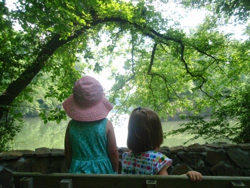 Tree Theme- Weekly Home Preschool | What Can We Do With Paper And Glue