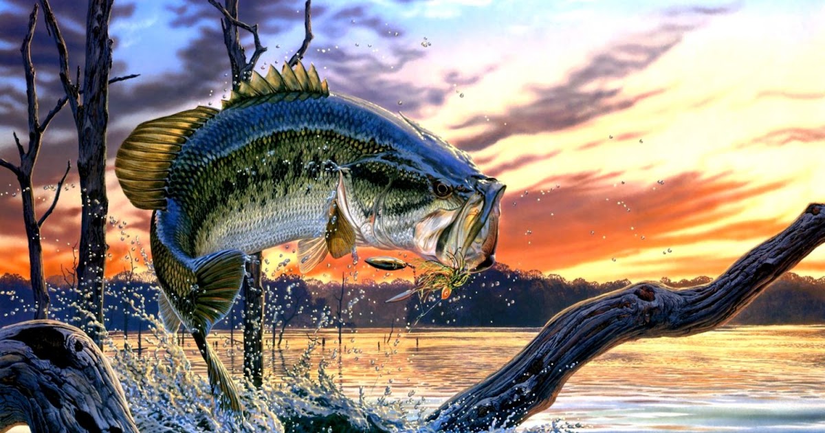 Largemouth Bass Wallpaper For Desktop | Wallpapers Gallery