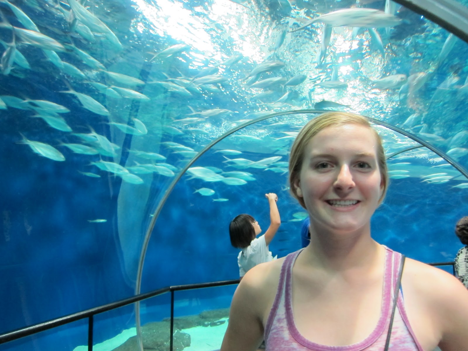 Shanghaied Bob: Shanghai Ocean Aquarium