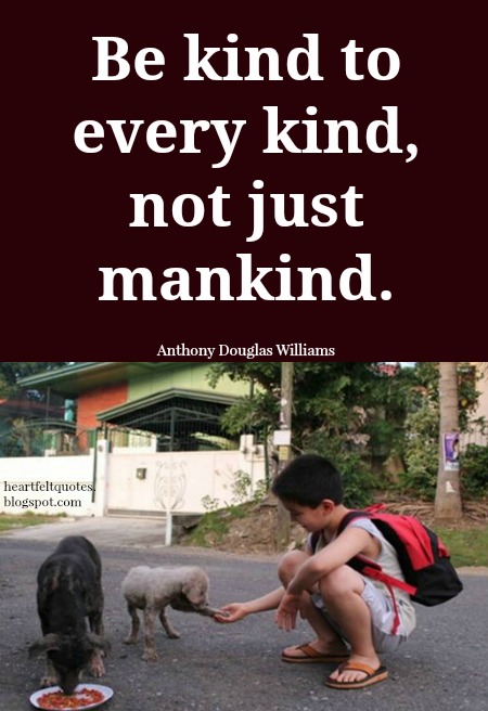 20 Kindness Quotes | Random Act of Kindness Photos That Will Touch Your ...