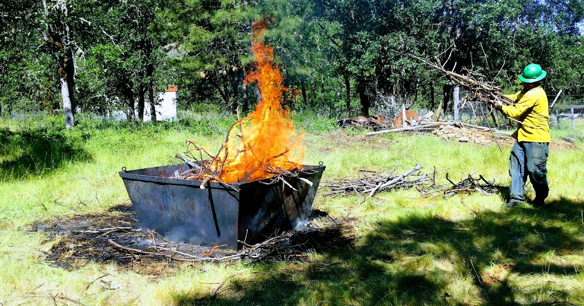 Umpqua Biochar Education Team: Biochar for Arborists and Tree Service ...