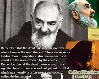 Little Plant of St. Francis: St. Padre Pio Quotes