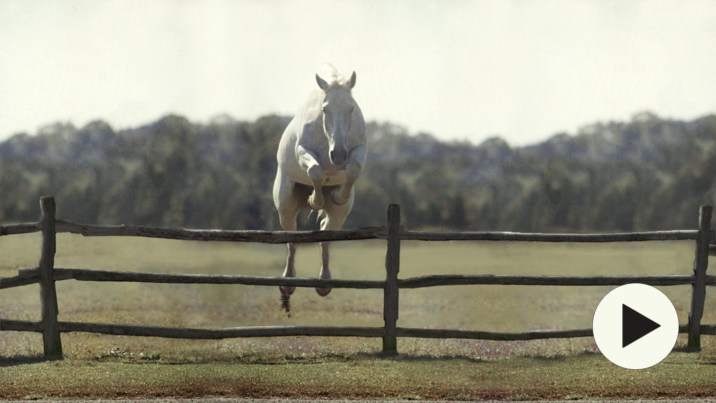 harry deleyer - USA News Collections