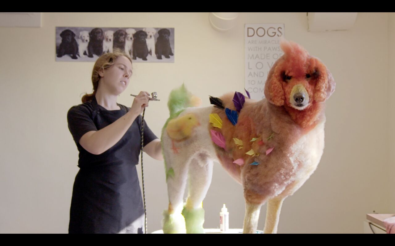 Movie Review: "Well Groomed" (SXSW 2019) | Lolo Loves Films