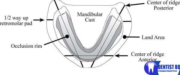 wiki 2 ~ Medical lectures
