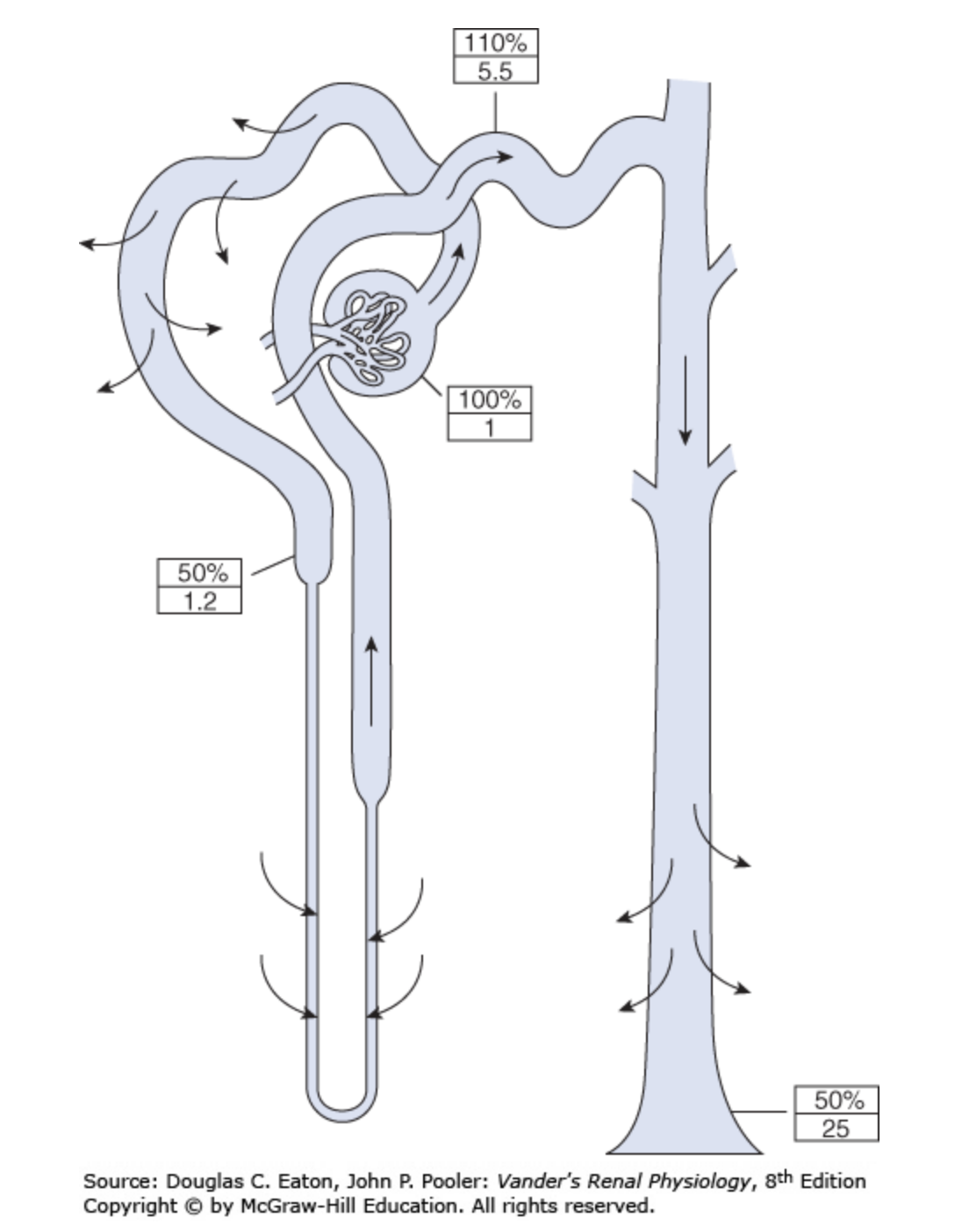 Tutor's Notes: general, cardiovascular, respiratory and renal ...