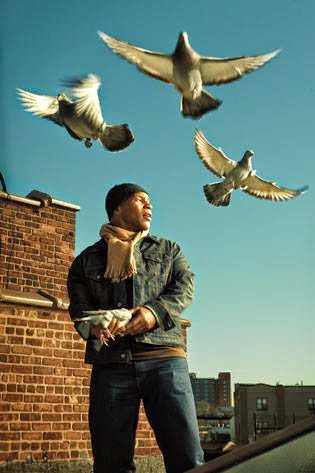 nieripigeons USA racing pigeons: USA : MIKE TYSON ....aumenta su pasión ...