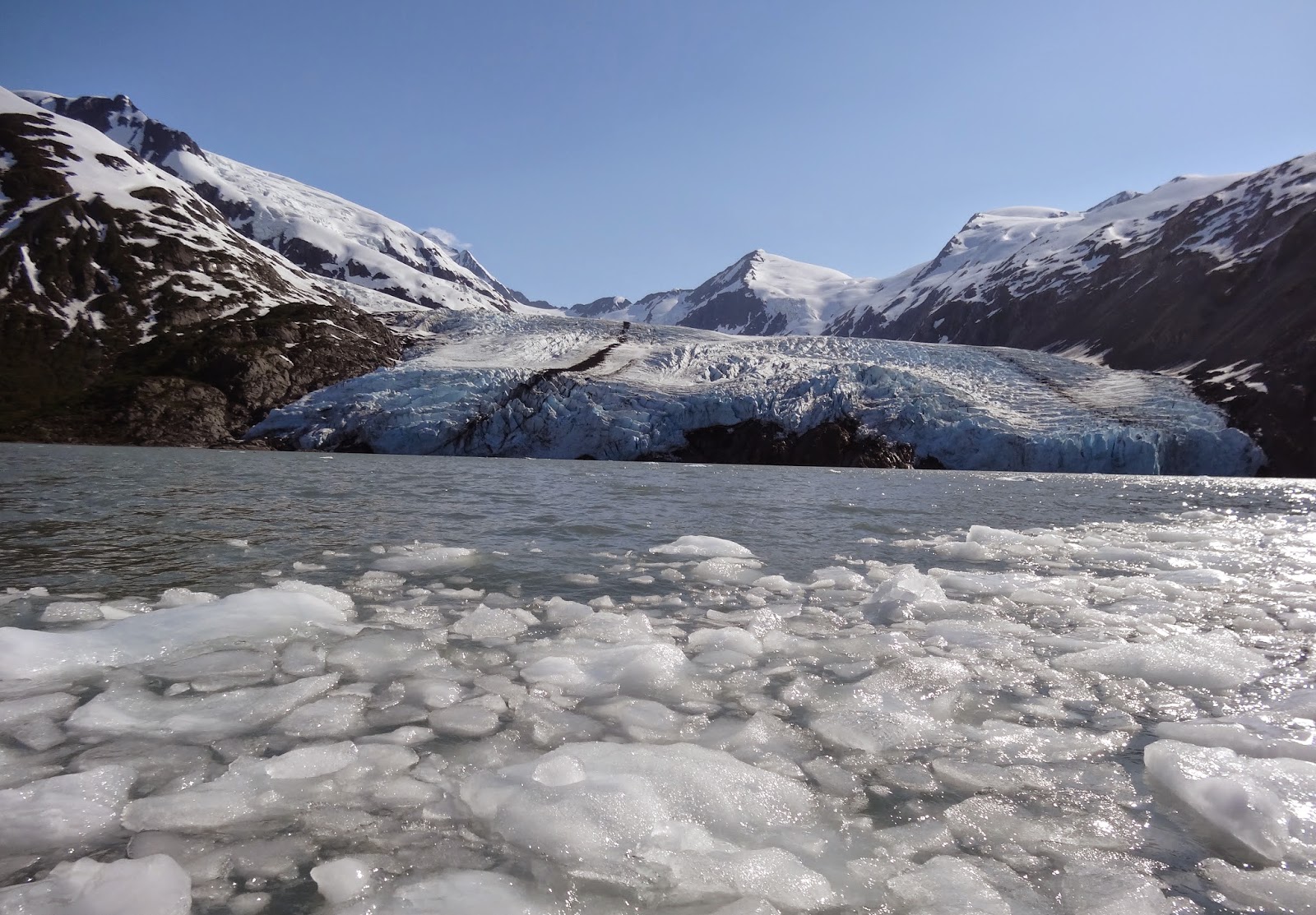 Les Petits Nomades: La péninsule de Kenai