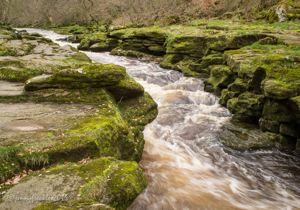 Saltaire Daily Photo: The Strid