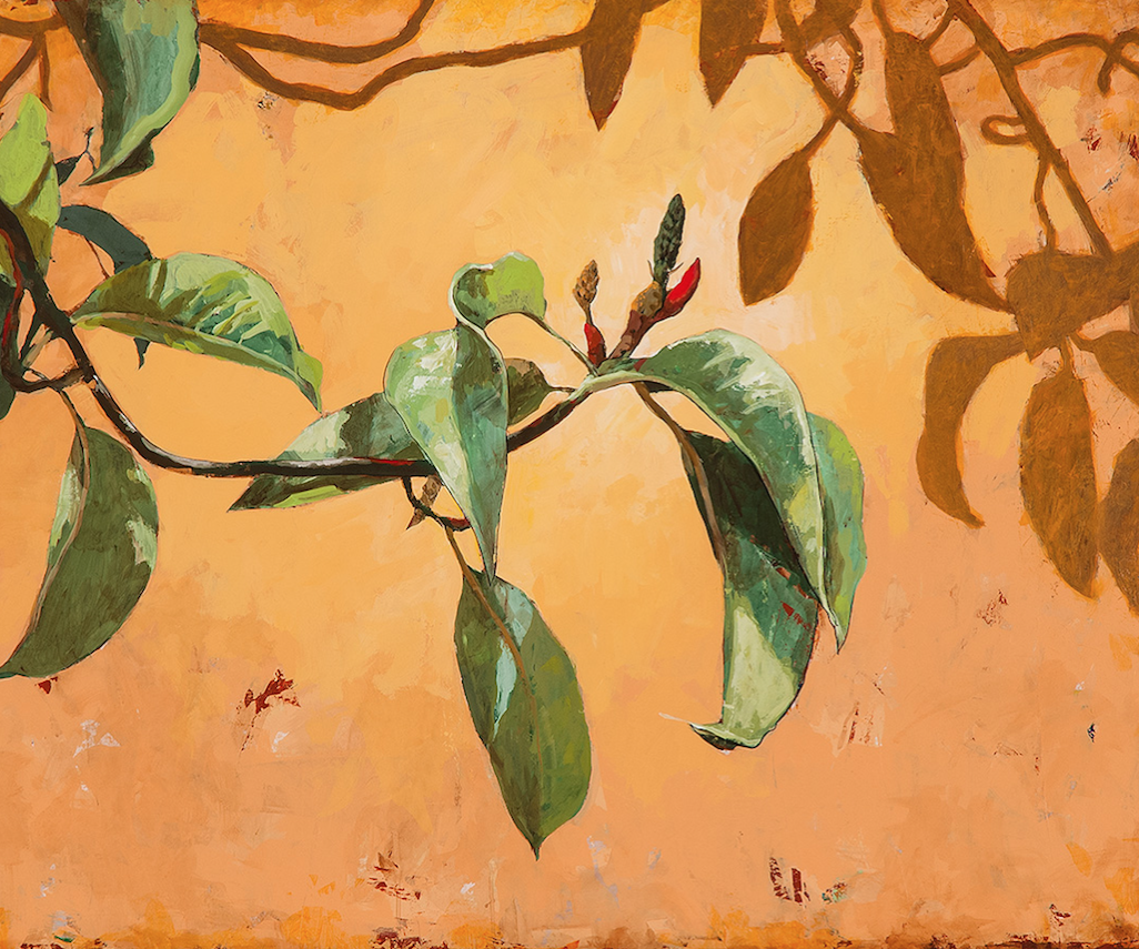 Artist of the Week Spotlight - David Palmer