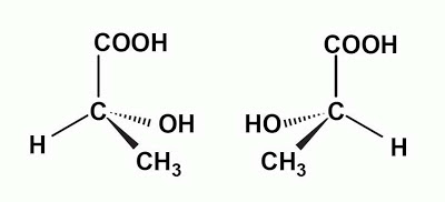 gogang giga: Definisi Asam laktat