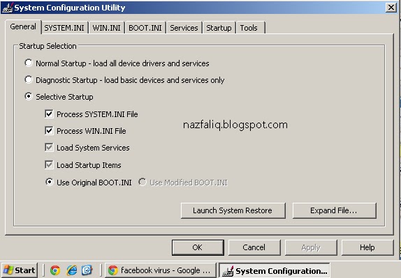 Naz's Online Journal