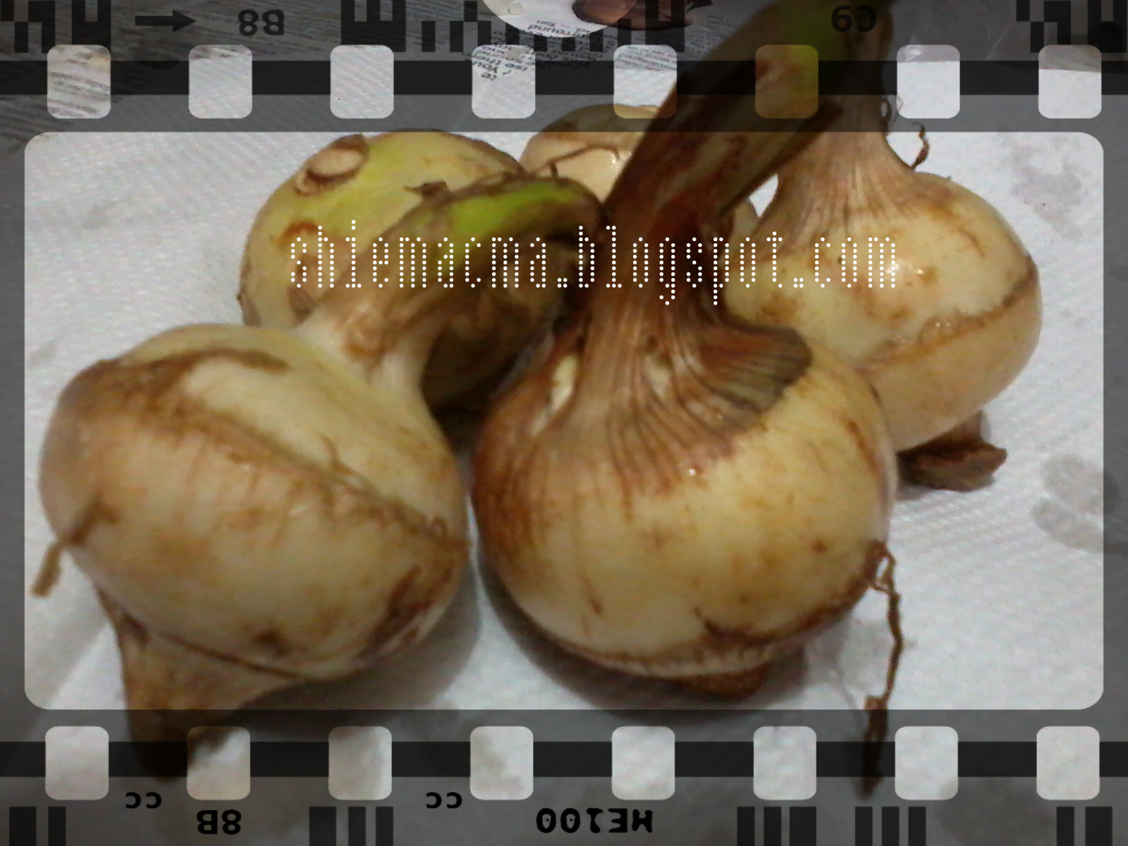 ♥CMa786♥: ~ Ngaku Kembali