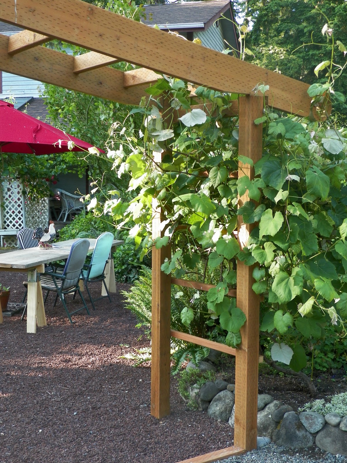 From Cedar Pond to Laughing Dove Farm : Doves & Scrolls For the Garden ...