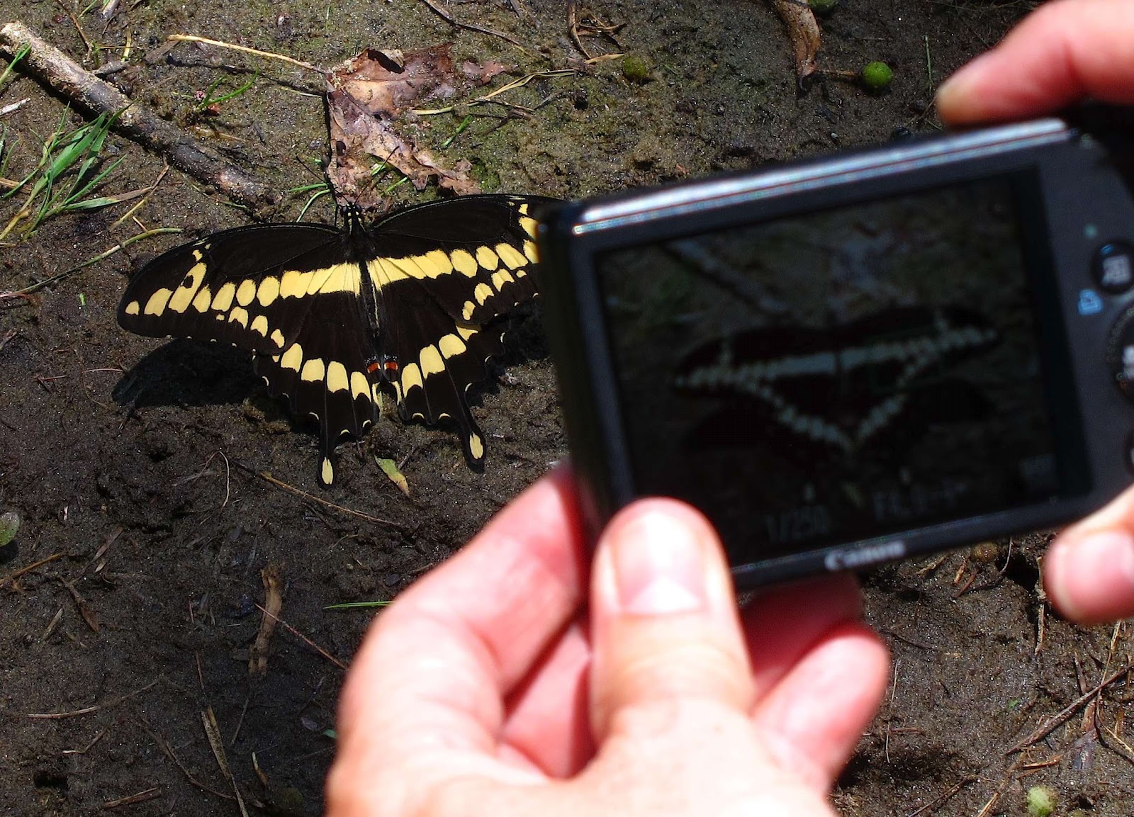 Saratoga woods and waterways: Quiet Waters, Unexpected Pleasures