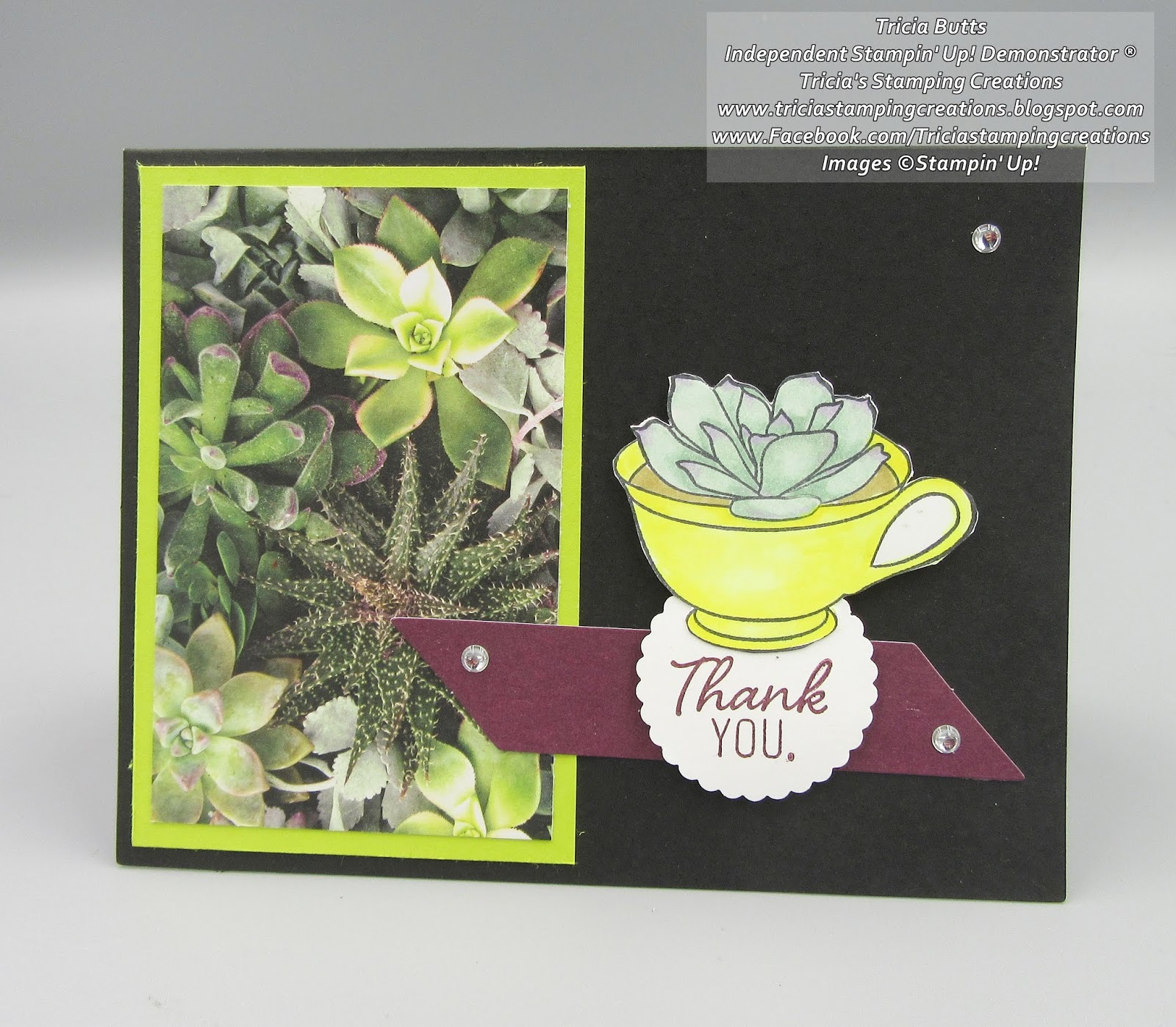 Tricia's Stamping Creations: Paper Pumpkin Pop Up Grown With Kindness ...