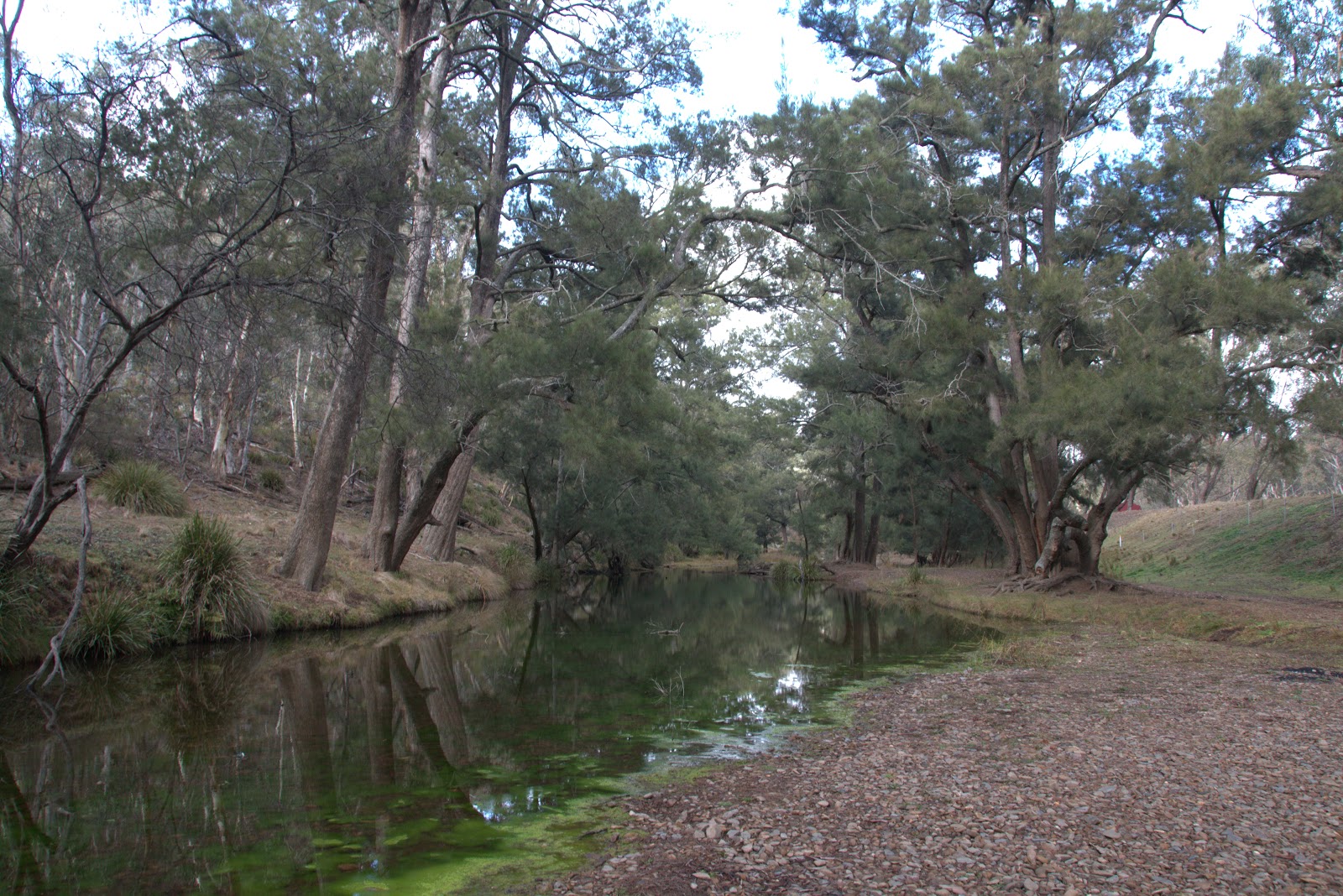 its just my life: Turon River