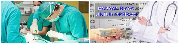 Cara Mengobati Hernia Atau Turun Berok Tanpa Operasi - Herbal Solusi Sehat