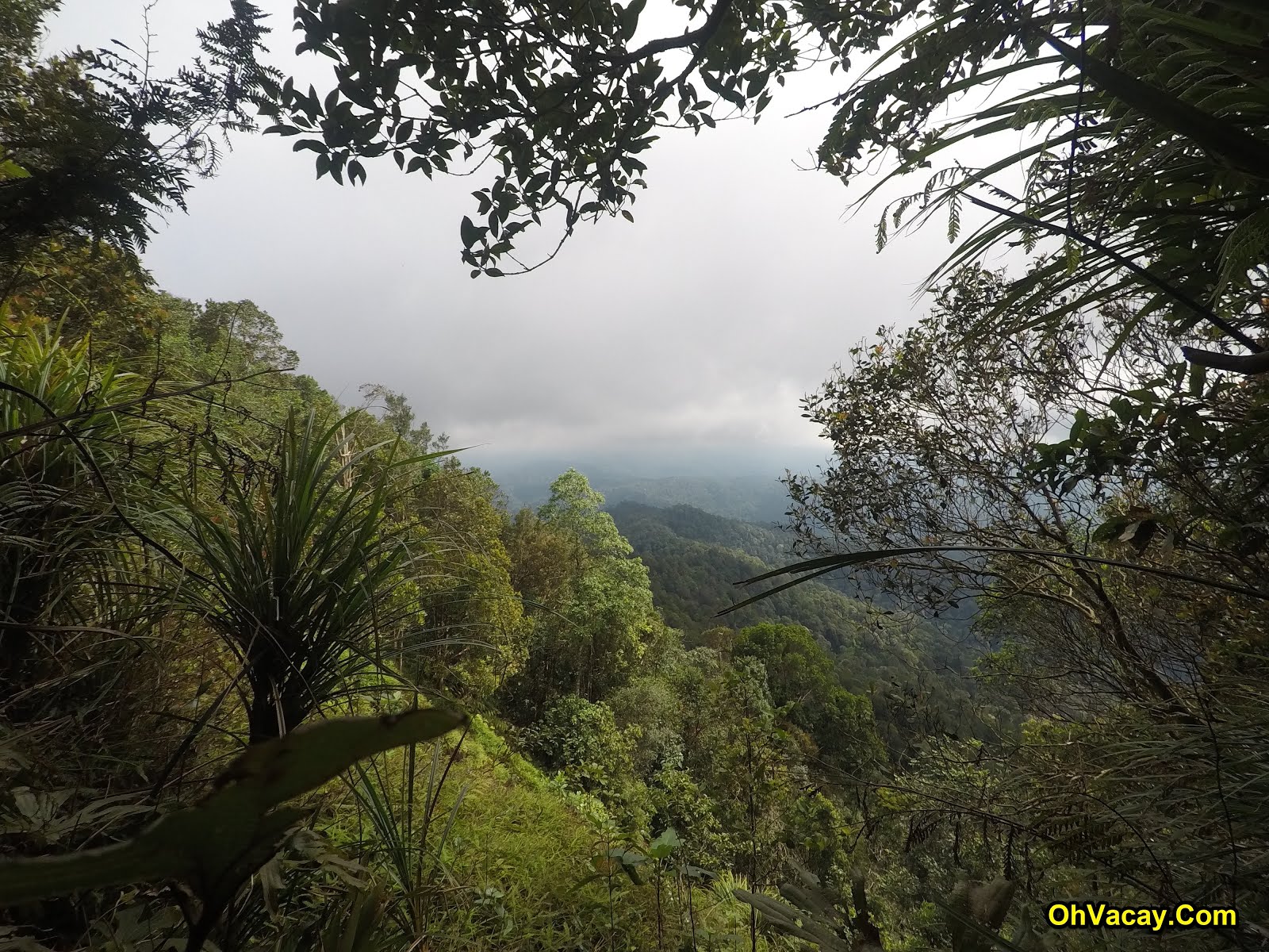 Pengalaman ke Gunung Angsi melalui Bukit Putus - OhVacay.Com