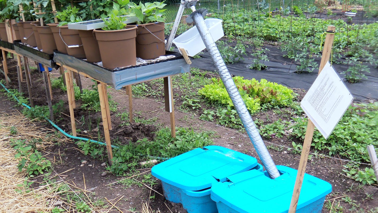 Nyack Backyard: A Self-Watering AutoGarden