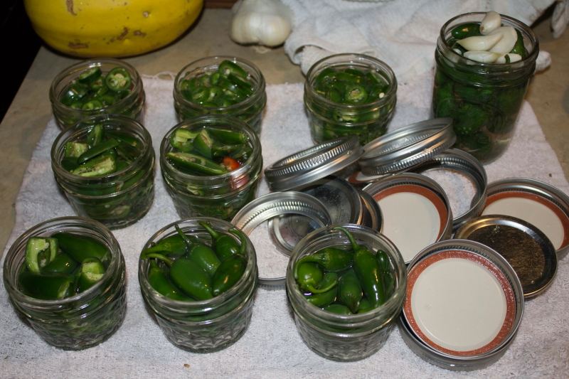 The Redneck Hippie: Canning Hot Peppers The Easy Way ~ AKA Small Batch ...