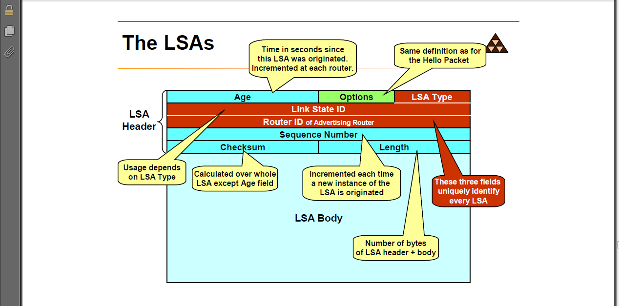 Python Networking Security Virtualization Fundamentals Ospf Lsas