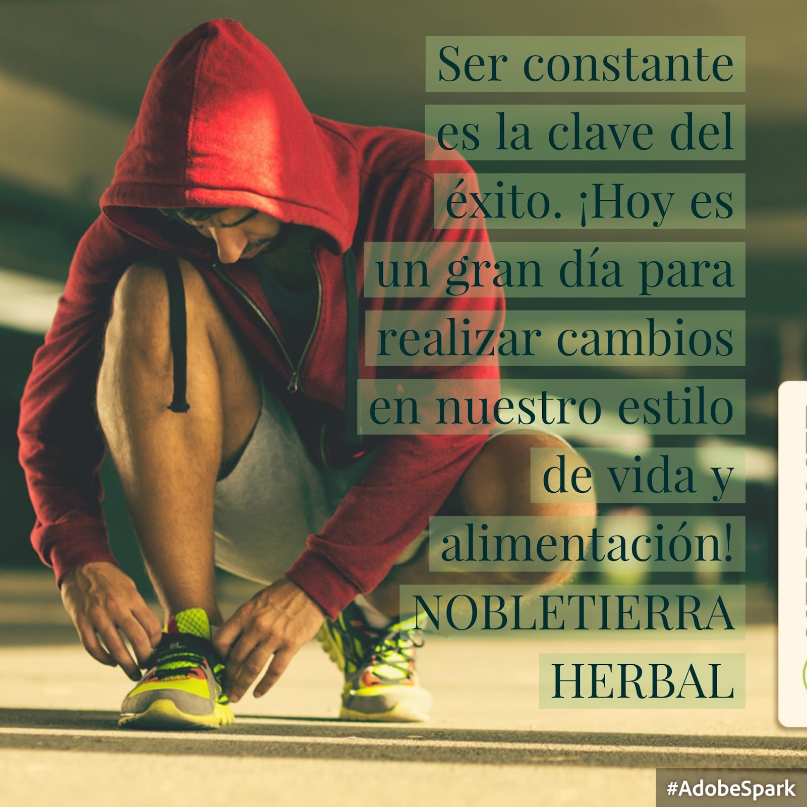 Cinco claves para ser constante