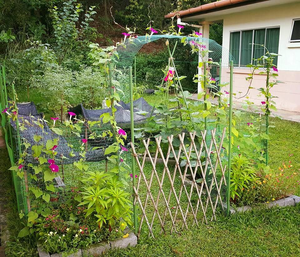 36+ Pagar Besi Untuk Kebun