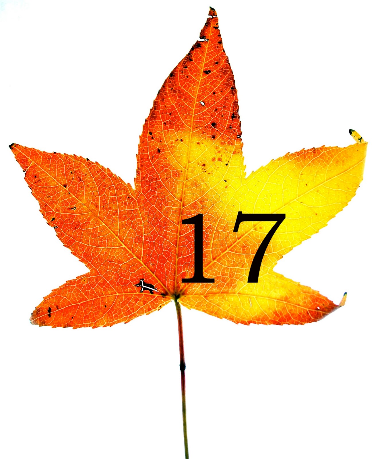 "52in52" 52 Pounds in 52 Weeks