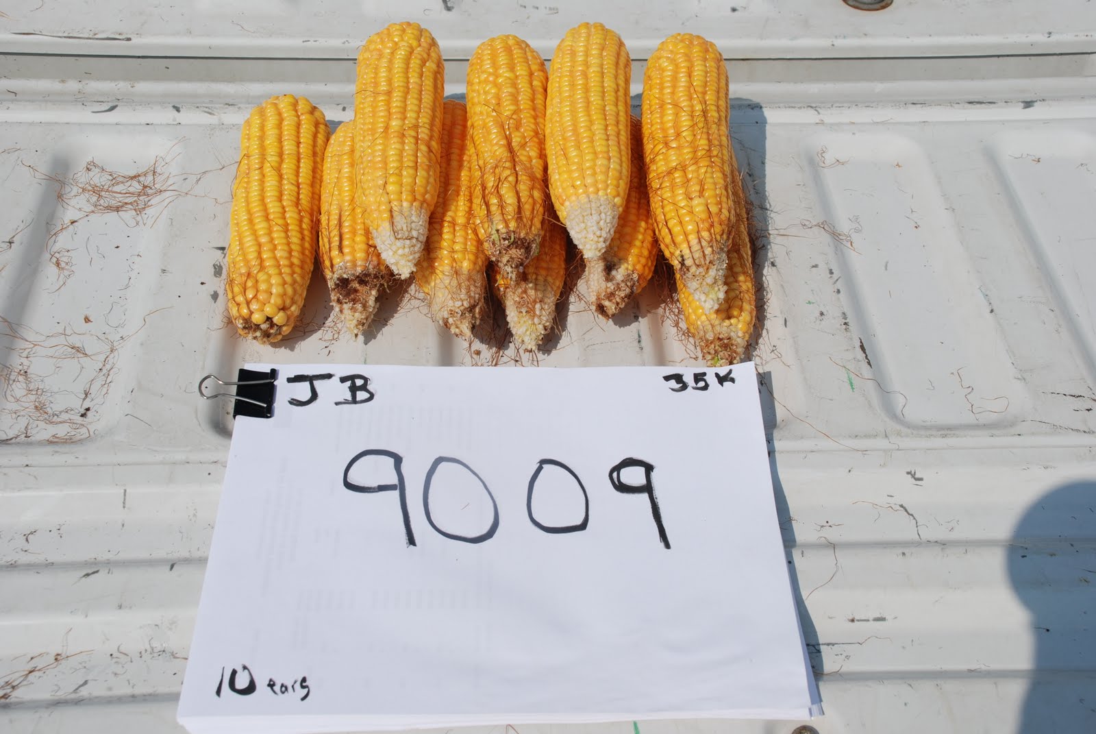 2011 Corn Silage Summary: Croplan 9009 RH