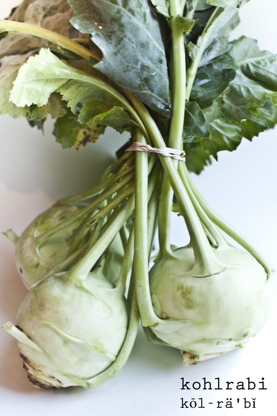 Fork it over, Boston!: The Weekly Vegetable: My first CSA!