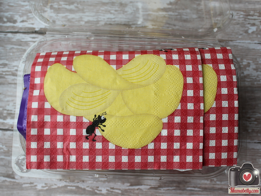 Mamabelly's Lunches With Love: Disposable Field Trip Lunches {with ...