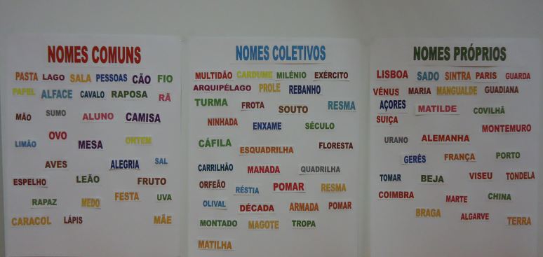 Os Meninos da C: SUBCLASSES DO NOME - comuns e próprios e comuns coletivos