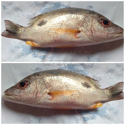 Kenali Pelbagai Jenis Ikan di Pantai Timur Sabah - Amie's Little Kitchen