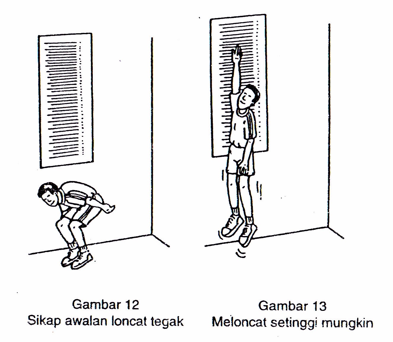 Tes Kesegaran Jasmani Indonesia ( TKJI ) Usia 16-19 Tahun