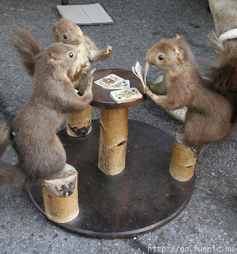 Most Funny Pictures,Weird,Bizarre,Strange Stuff: 6 pics Top 10 Funny Pics