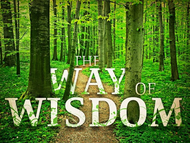 Wisdom Quotes Wisdom thoughts