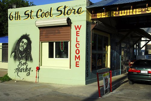 the cool store
