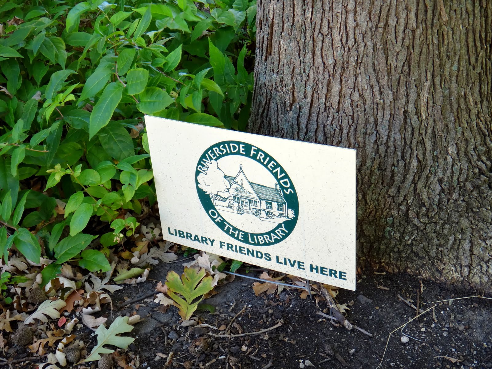 A perfect fall day around Riverside.....