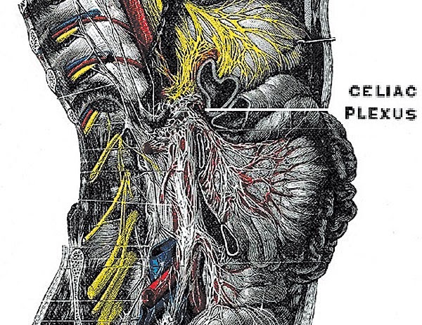 Protect Yourself At All Times: BREAKING DOWN THE SOLAR PLEXUS