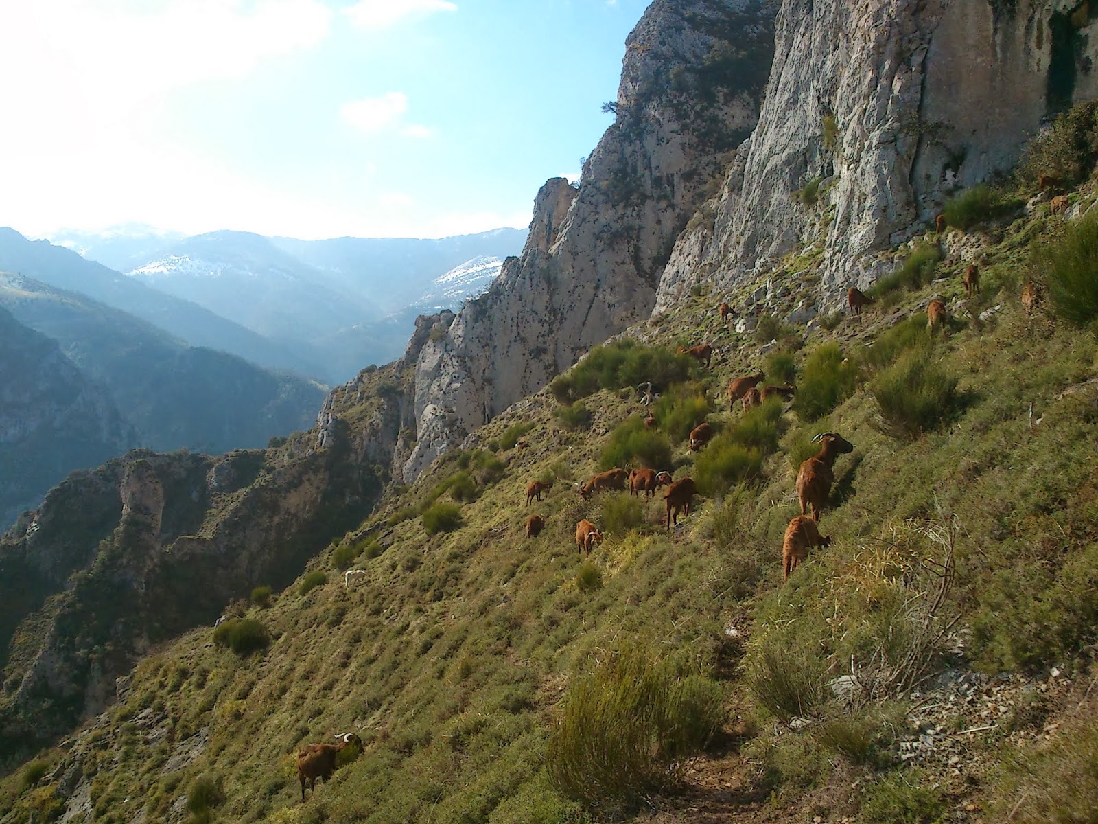 Decoración Quirós: Quirós como inspiración. Asturias.