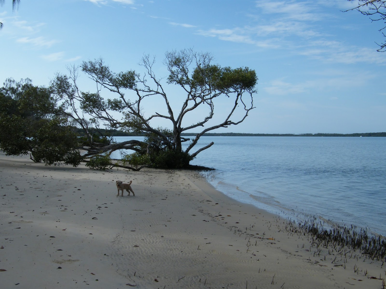 BJ and Noelle Travel Oz : Inskip Point - Boondooma Dam, Queensland